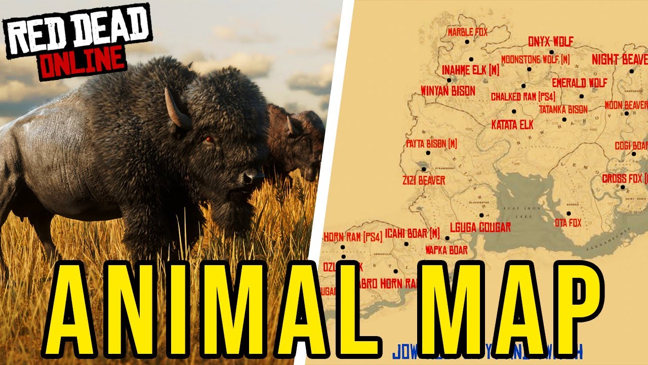 ALL Red Dead Online Legendary Animal Spawn LOCATIONS! (RDR2 Online ...