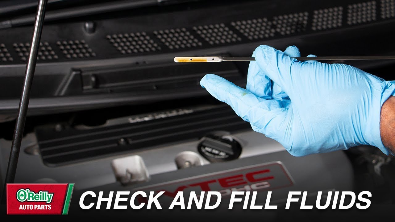 How To: Check and Fill Your Vehicle's Fluids - Guapify - Democratizing ...