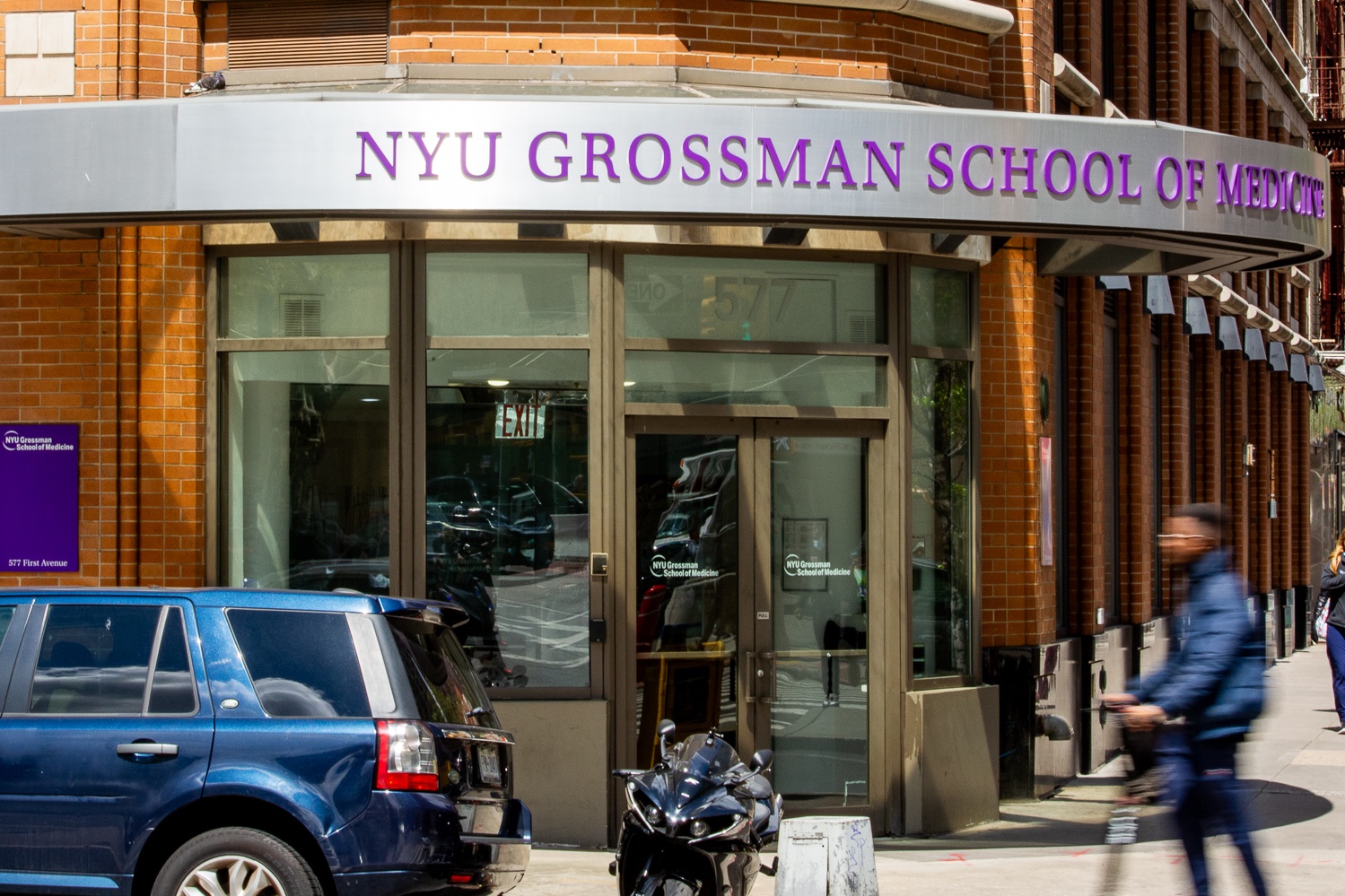 Grossman receives $1.6 million research grant - Guapify