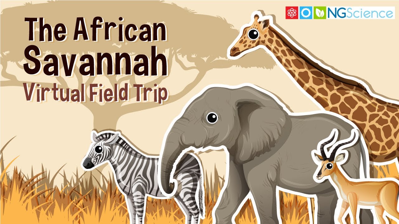 The African Savannah – Virtual Field Trip - Guapify