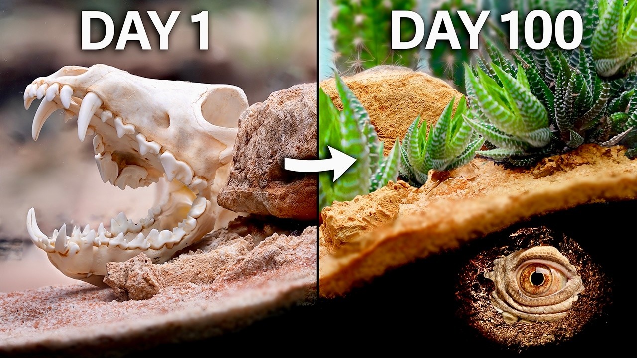 Simulating Africa For 100 Days Guapify Building Black Billionaires