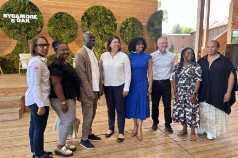 DC puts the spotlight on local entrepreneurs for National Black ...