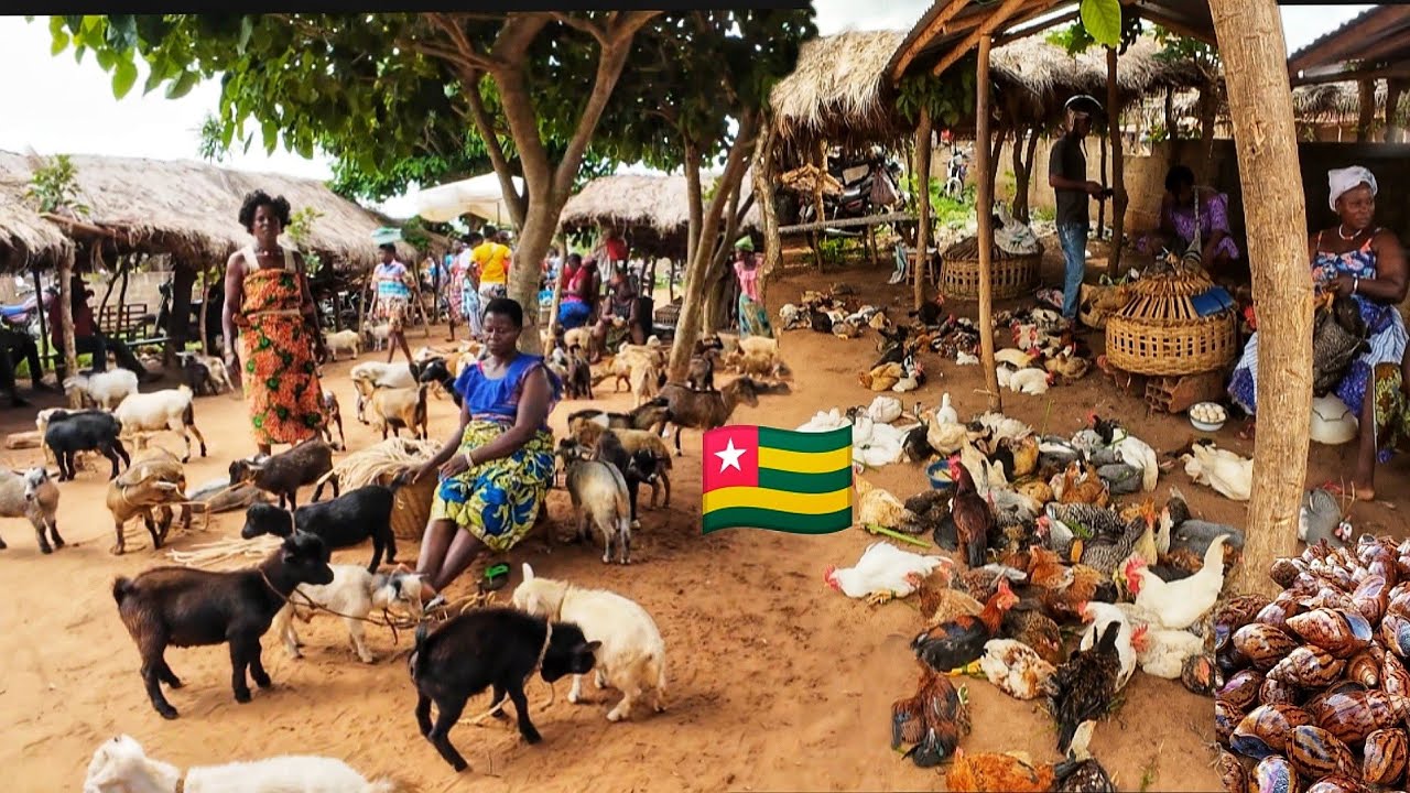 Largest rural village market day in Vogan Togo west Africa 🌍 Cost of ...
