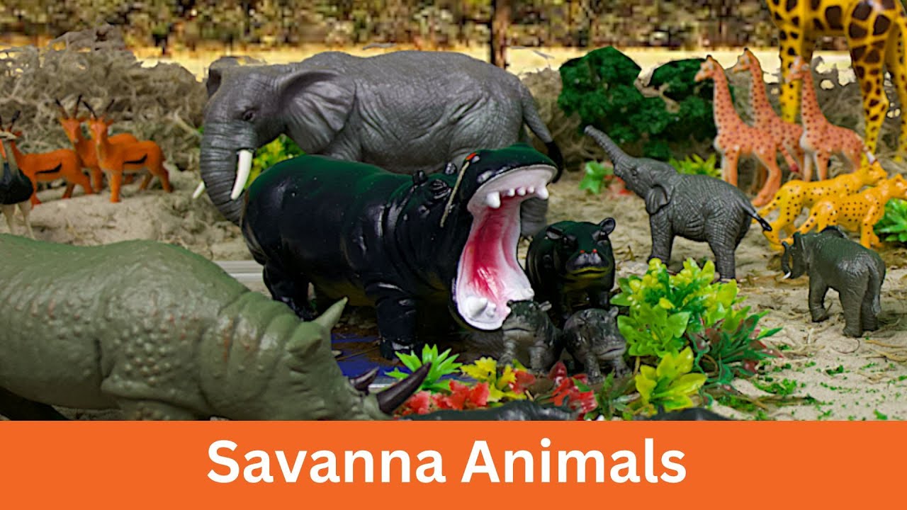 Meet African Safari Animals | Savanna Diorama Craft: Kids' Fun Facts ...