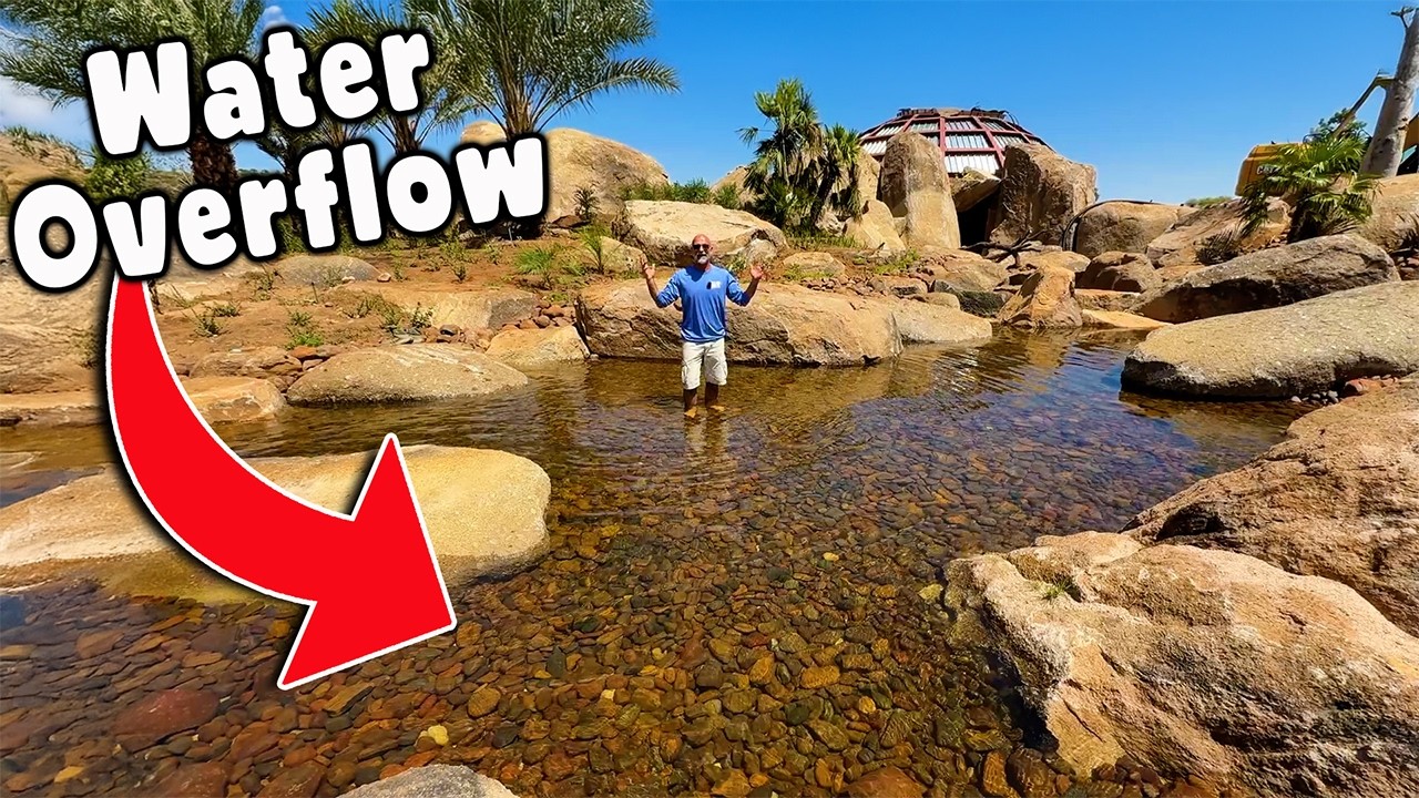 Beautiful Wetland For The African Pond Build - Guapify - Democratizing ...