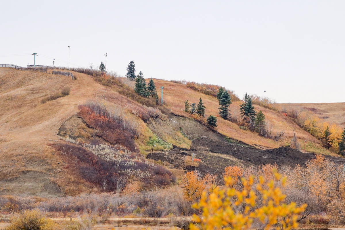 Stettler, Castor non-profits benefit from 2025 Helping Hand Grant program - Guapify ...