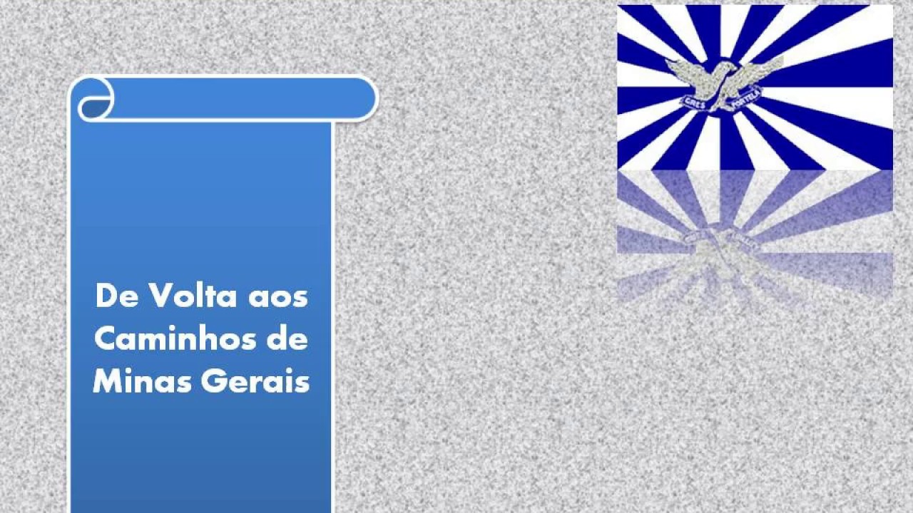Portela 1999 Ao vivo - Guapify - Democratizing Wealth